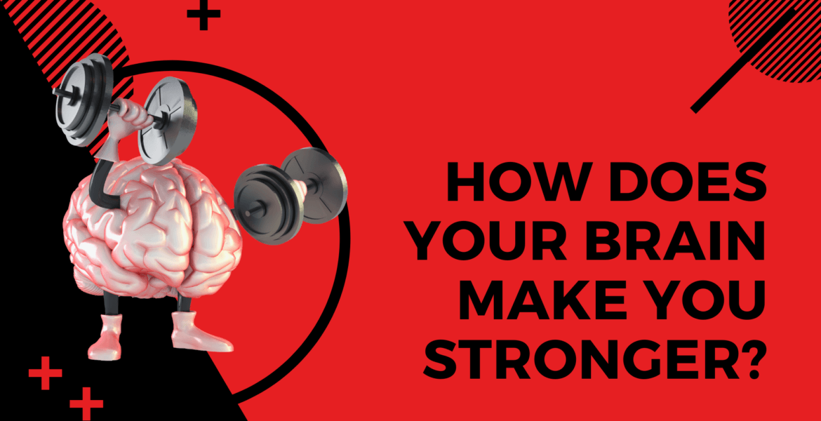 How The Brain Makes You Stronger – Crossover Symmetry